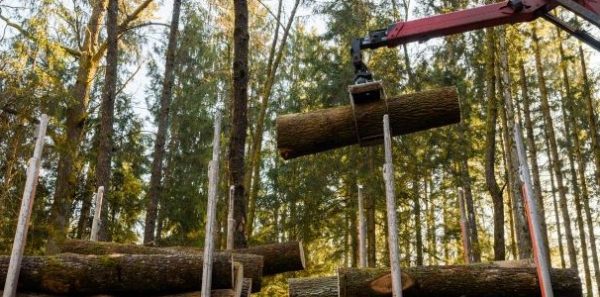 Madill Logging Brand Sold To New Zealand’s DC Equipment | Business Examiner