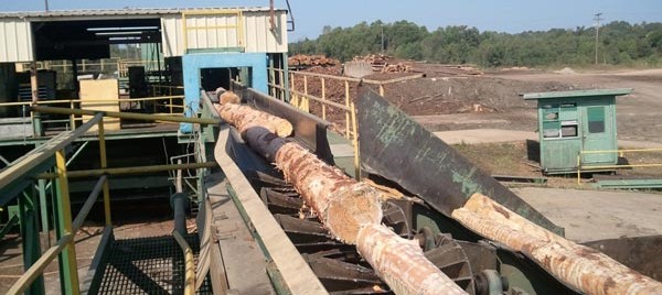 Tolko Industries Joint Venure with STP Lumber Announced | Business Examiner