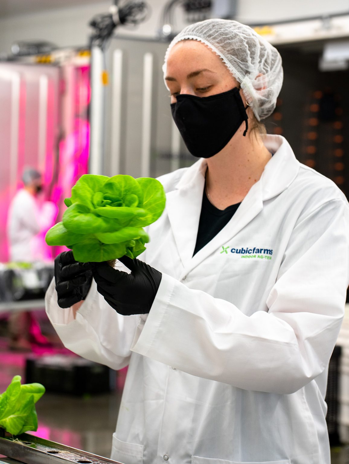 Vertical Farm Operation Grows At Discovery Park | Business Examiner