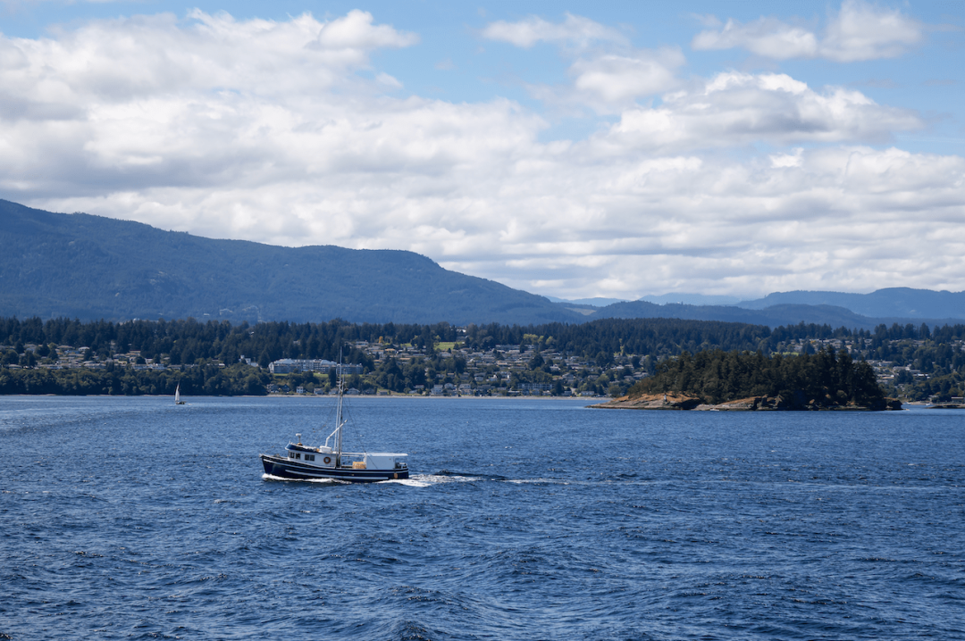 CENTRAL/NORTH VANCOUVER ISLAND MOVERS & SHAKERS JANUARY 14, 2026 ...