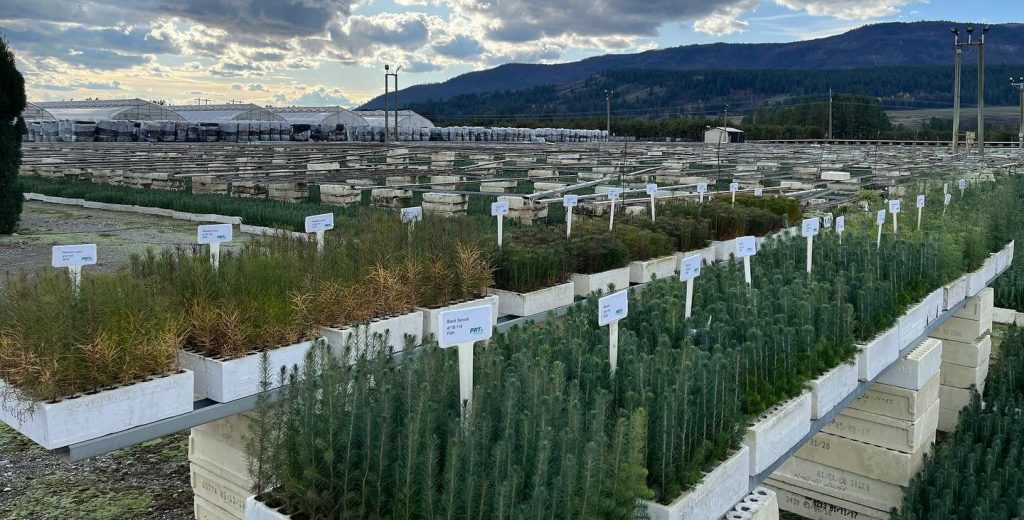 PRT GROWING SERVICES LTD. PARTNERS WITH TŁĮCHǪ GOVERNMENT | Business ...