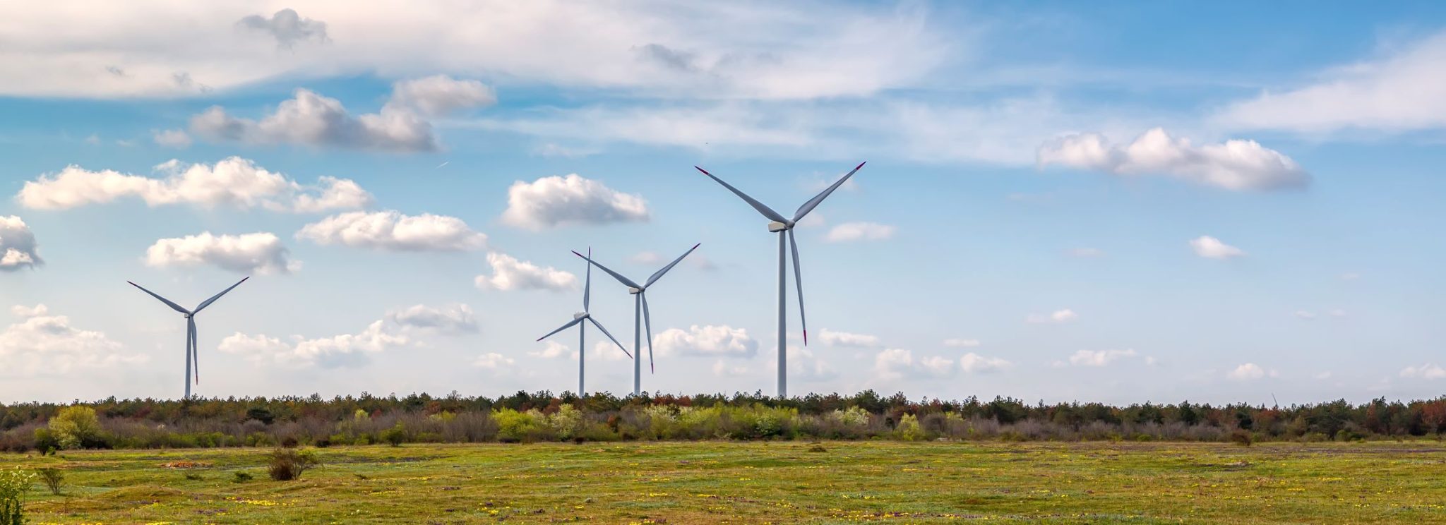 BREWSTER WIND FARM APPROVED BY BC HYDRO | Business Examiner