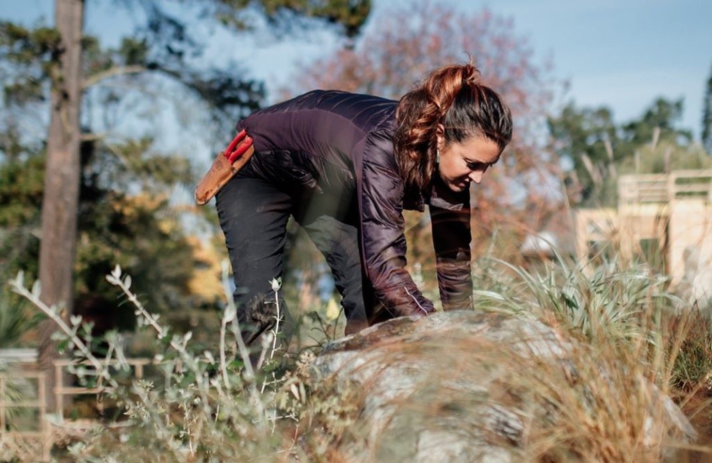 EDEN PROJECTS LTD. CONTINUES TO DIVERSIFY OFFERINGS WHILE CELEBRATING ...