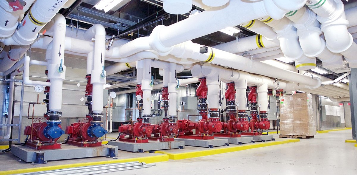 WILLIAMS ENGINEERING BRIGHTENS LIVES | Business Examiner